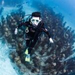2 Tank Dives MUSA and Manchones reef (Certified divers) - Exploring the Underwater Museum and Reefs of Isla Mujeres