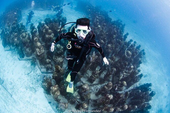 2 Tank Dives MUSA and Manchones reef (Certified divers) - Exploring the Underwater Museum and Reefs of Isla Mujeres