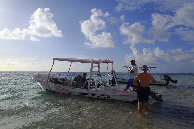 2 Tank Reef Dive in Mexico - Detailed Look at the Itinerary and Experience