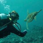 2 Tank Shore Dive at Sea Turtle Cove - The Value of This Tour