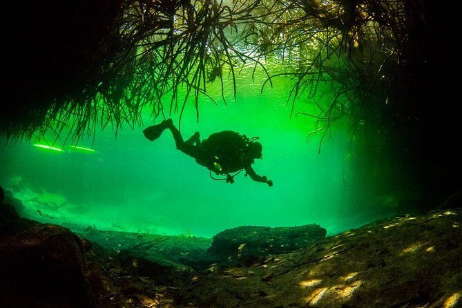 2 tanks Cenote Diving Adventure in Tulum for Certified Divers - The Value of a Small-Group Experience