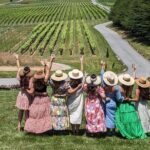 2 Vineyard Wine Tour of the Yadkin Valley - Transportation and Group Size