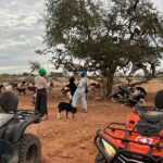 2Hours DE Quad + Comedy EN Tour and Crocoparc Tour - What Travelers Are Saying