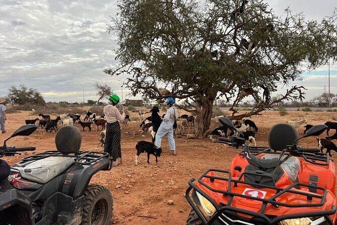 2Hours DE Quad + Comedy EN Tour and Crocoparc Tour - What Travelers Are Saying