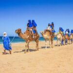 2x1 Tour: Cabo San Lucas Arch + Camels Ride + Pick up! - The Itinerary in Detail