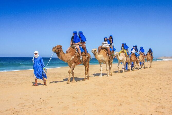 2x1 Tour: Cabo San Lucas Arch + Camels Ride + Pick up! - The Itinerary in Detail