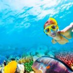 2x1 Tour: Isla Contoy, Isla Mujeres, Open Bar, Lunch and Transfers - An In-Depth Look at the Itinerary