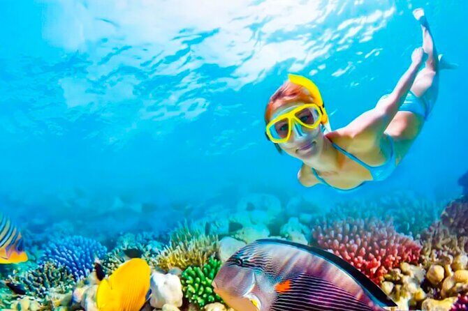 2x1 Tour: Isla Contoy, Isla Mujeres, Open Bar, Lunch and Transfers - An In-Depth Look at the Itinerary