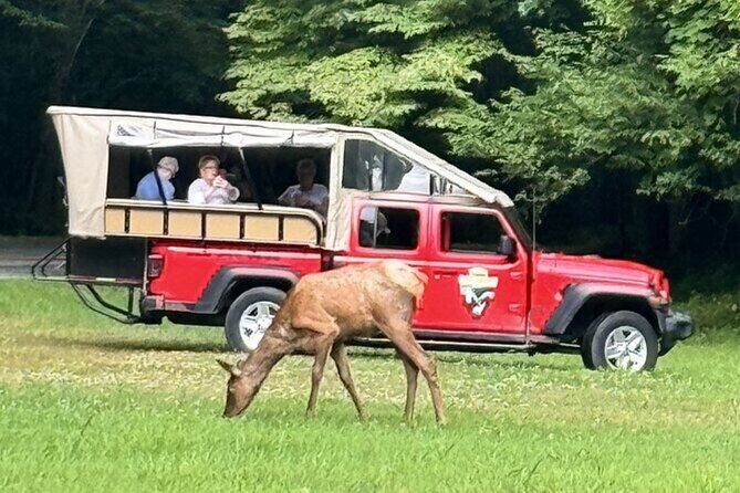 3 - 3.5 HR Smoky Mtn. Cherokee Eco Elk Safari Jeep Adventure - Who Will Love This Experience?