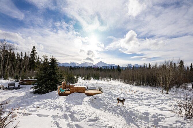 3-day Yukon Northern Lights Adventure - What We & Others Say