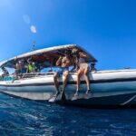 3 Hour Big Island Dolphin Watch Boat Tour, Snorkeling & BBQ Lunch - Final Thoughts: Is This the Right Tour for You?