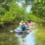 3-Hour Clear Kayak Beach Hopping Adventure in Sarasota - The Itinerary