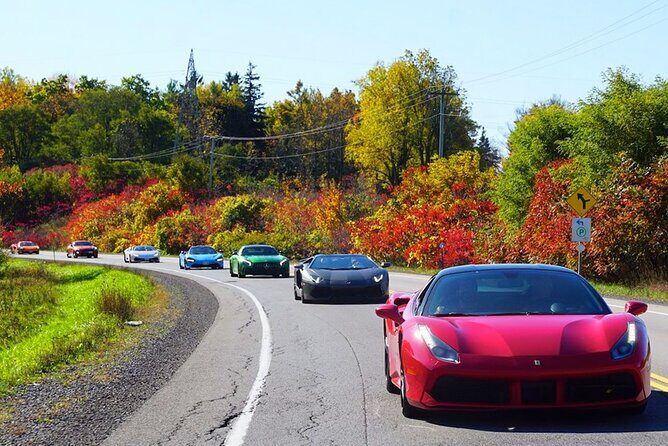 3 Hour Exotic car Tour driving 4 to 5 Super cars - What makes this tour stand out?
