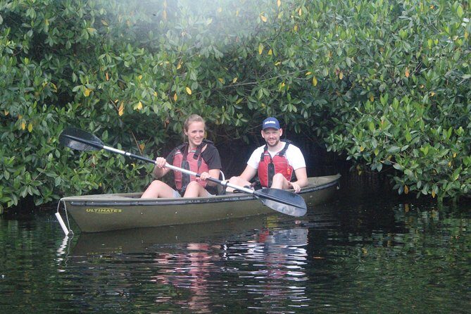 3 Hour Guided Mangrove Tunnel Kayak Eco Tour - Exploring the Tour Details