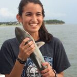 3 Hour Inshore Shark Fishing Trip in Hilton Head Island - Who Will Love This Tour?