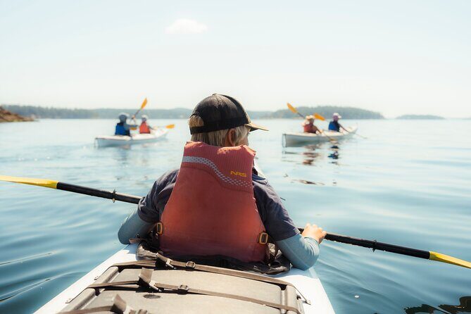 3 Hour Kayaking Tours from Friday Harbor - Detailed Breakdown of the Experience