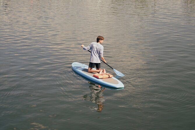 3 Hour Paddle Board Rental - The Experience of Navigating Kings Bay