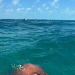 3 in 1 Experience in Tulum - Snorkeling in the Largest Coral Reef of the Americas