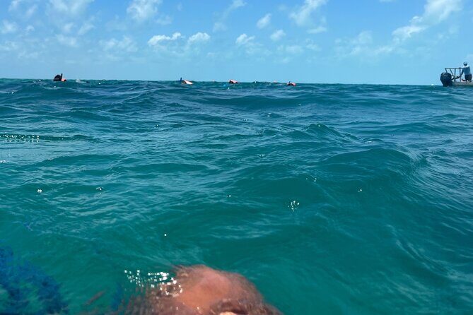3 in 1 Experience in Tulum - Snorkeling in the Largest Coral Reef of the Americas