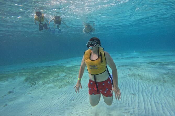 3 in 1 Jungle Tour Adventure Cancun - What To Expect from Each Segment
