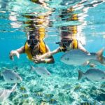 3 in 1 Snorkeling, Parasailing, with Turtle - Snorkeling: A Dive Into Underwater Wonders