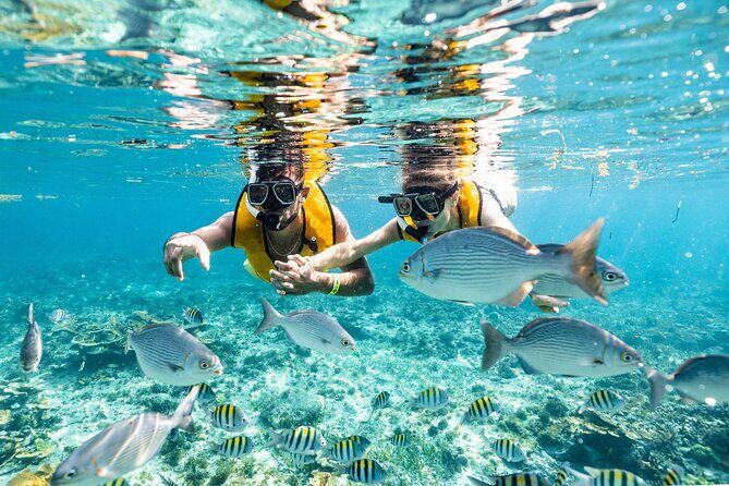 3 in 1 Snorkeling, Parasailing, with Turtle - Snorkeling: A Dive Into Underwater Wonders
