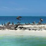 3 Islands Snorkel on boat, Isla Blanca, Contoy, Mujeres - The Experience Provider and Booking Details