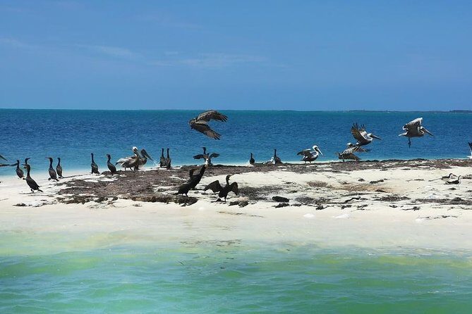 3 Islands Snorkel on boat, Isla Blanca, Contoy, Mujeres - The Experience Provider and Booking Details
