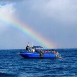 3-Tank Dive Featuring the Molokini Crater - Who Should Consider This Tour