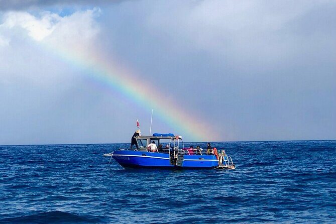 3-Tank Dive Featuring the Molokini Crater - Who Should Consider This Tour