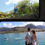 3 Ziplines & Dolphin Watching Snorkel Adventure - Pricing and Value