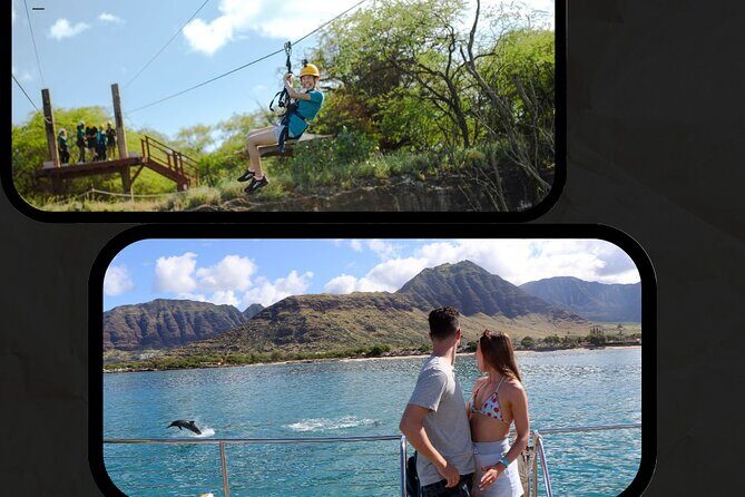 3 Ziplines & Dolphin Watching Snorkel Adventure - Pricing and Value