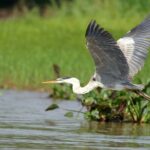 3h Boat Safari - Montreals Nature and Iconic Attractions Tour - Authentic Insights from Past Travelers