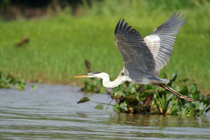 3h Boat Safari - Montreals Nature and Iconic Attractions Tour - Authentic Insights from Past Travelers