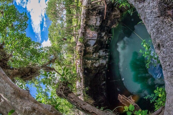 4 Cenotes Full Day Tour from Merida - Practical Tips for Travelers