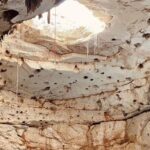 4 different cenotes with food from Merida - Final Thoughts