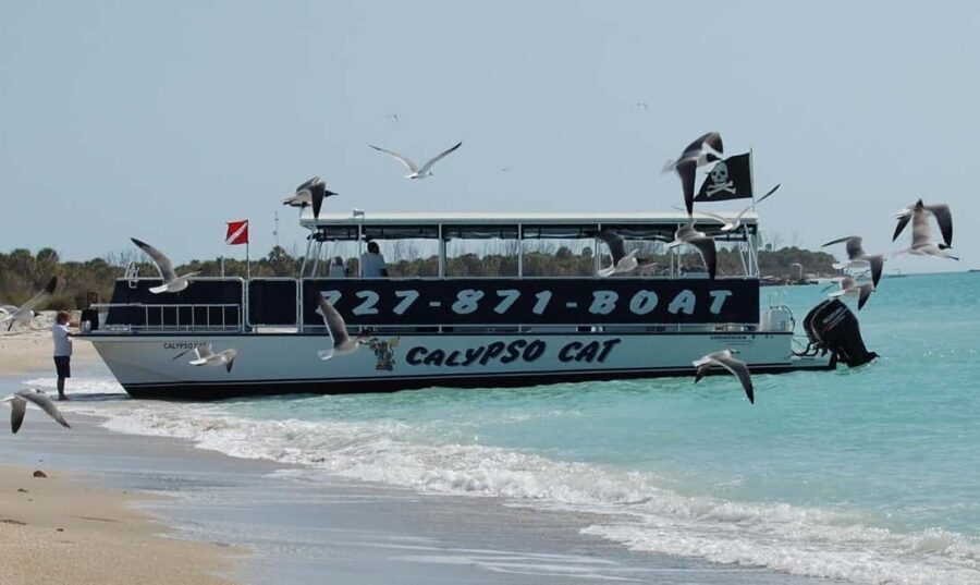 4 Hour Egmont Key Island Tour With Dolphins & Snorkeling - Who Will Love This Tour?