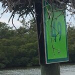 4 Hour Keewaydin Island Beach Tour - The Value: Breaking Down the Cost