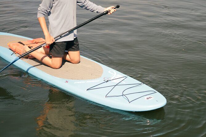 4 Hour Paddle Board Rental - The Sum Up
