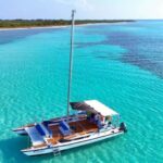 4 Hour Turtle Sanctuary Experience on a Luxury Catamarán - What Reviewers Say