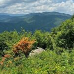 4 Hr Maggie Valley Slingshot Automatic Rental - Why It’s a Great Addition to Your Asheville Trip