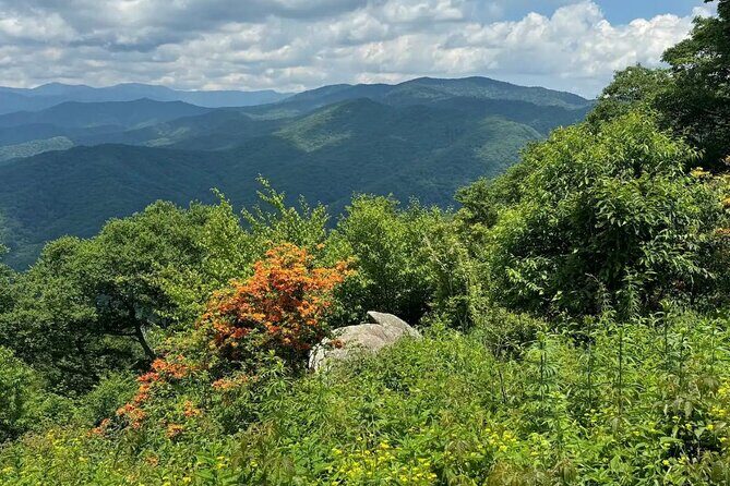 4 Hr Maggie Valley Slingshot Automatic Rental - Why It’s a Great Addition to Your Asheville Trip