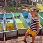 4-in-1 Tour - Mazunte, Cacao Factory & Turtle Spawn/Release - A Deep Dive into What You Can Expect