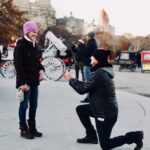 45 min Long VIP Central park carriage ride - The Value of the Experience