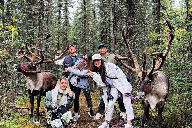 45 Minute Private Reindeer Tour - Who Should Consider This Tour?