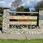 4hr Butchart Gardens and Victoria Private Tour (1-6 pax) - Who Should Choose This Tour?
