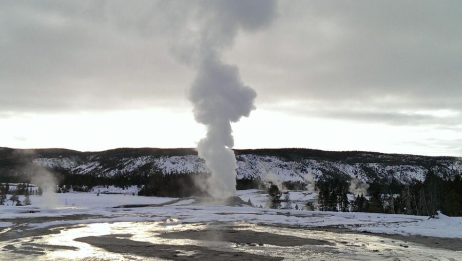 5-Day Winter Yellowstone Wildlife Tour - Final Thoughts