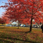 5 Days of Adventure in Vancouver  Activities-Only Tour - What Makes This Tour Stand Out?