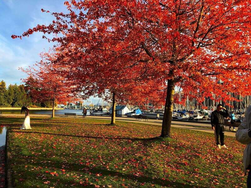 5 Days of Adventure in Vancouver  Activities-Only Tour - What Makes This Tour Stand Out?