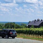 5 Hour Historic Thomas Jefferson Wine Tour - Who Will Love This Tour?